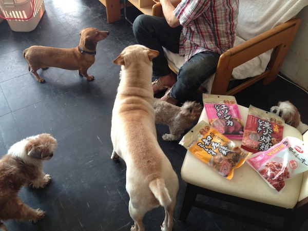 これもカウンセリングのひとつ: EVERY WAN